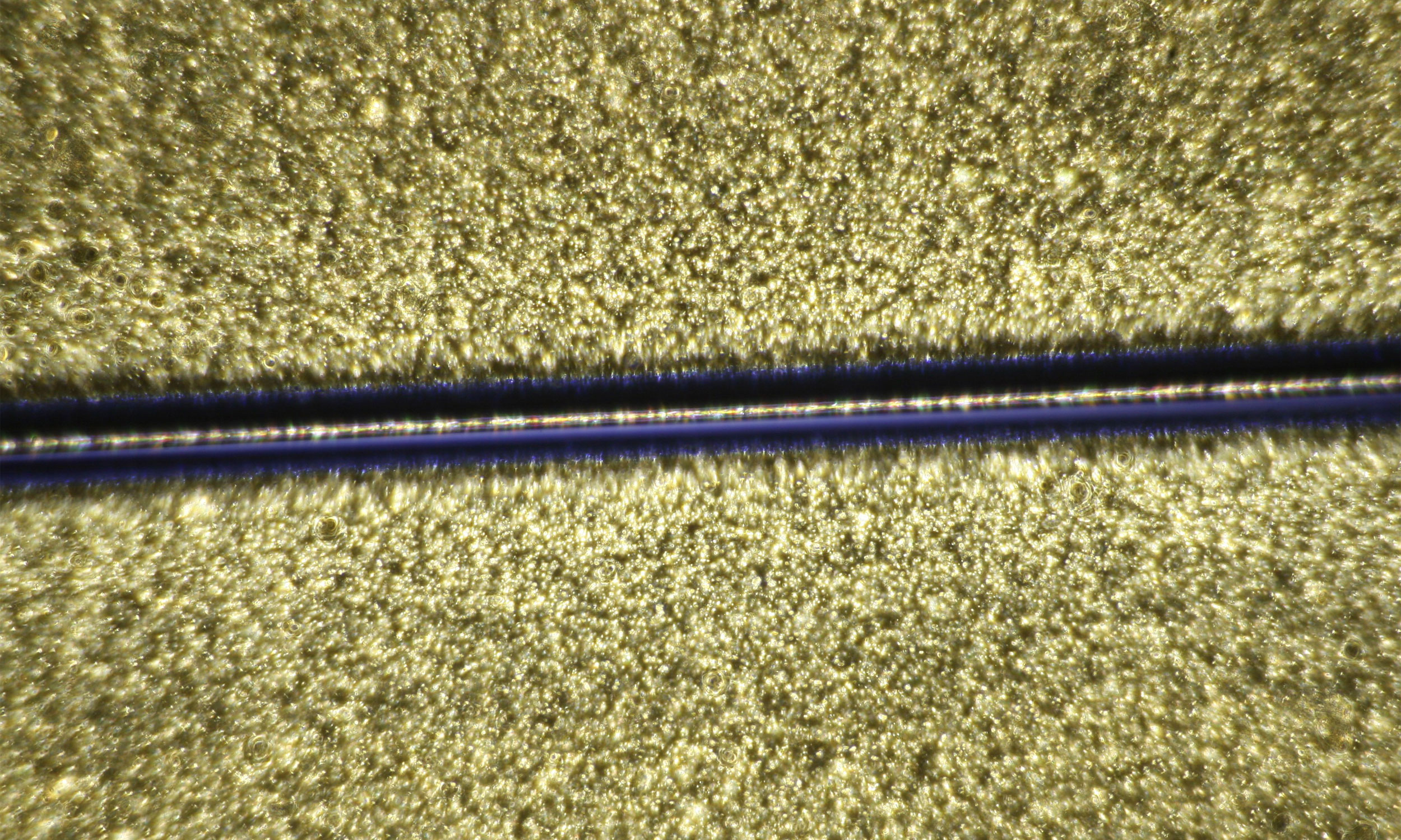 Wax Appearance | Kernow Analytical Technology | Independent Laboratory ...